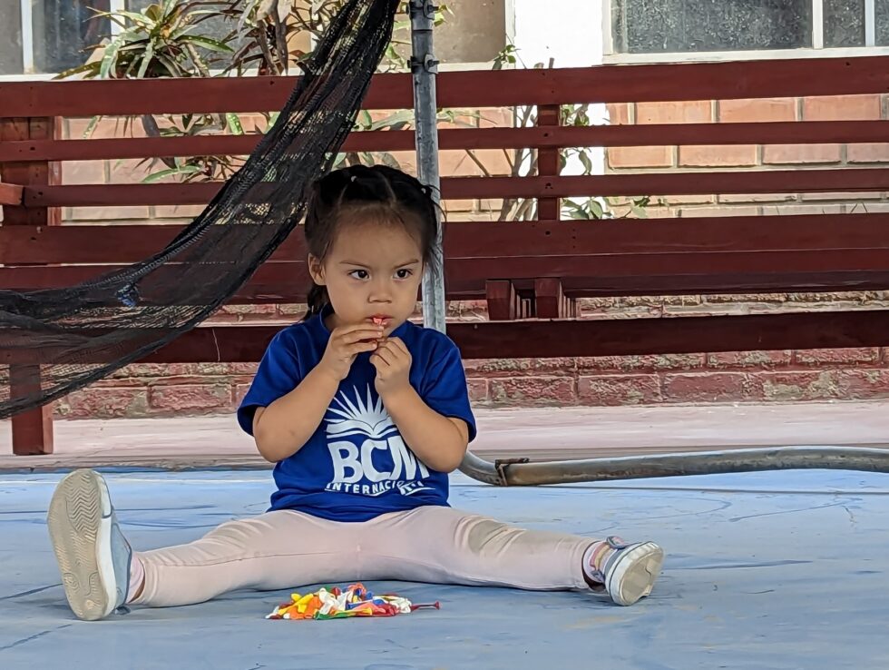 Special Projects - BCM International