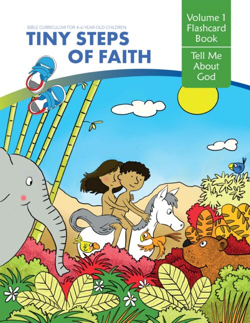 Tiny Steps of Faith- Flashcard Book Vol. 1 - BCM International